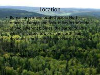 The boreal forest | PPT