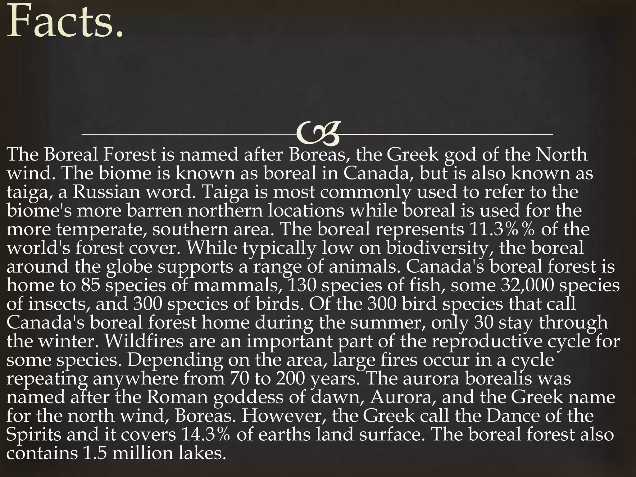 The boreal forests or taiga | PPTX