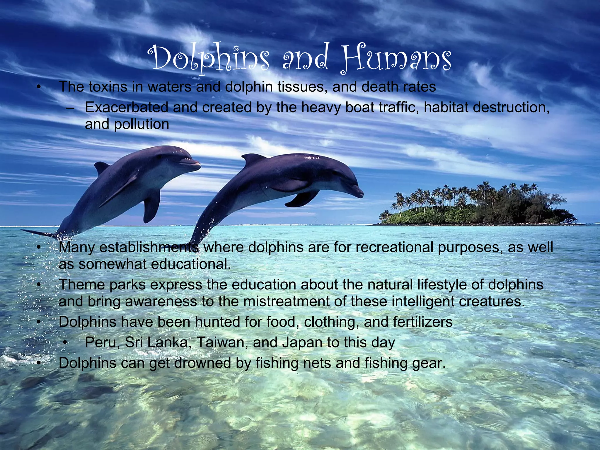 Megan Berry Period 6 Bottlenose Dolphin | PPT