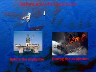 The bp oil spill | PPTX | Environment | Science