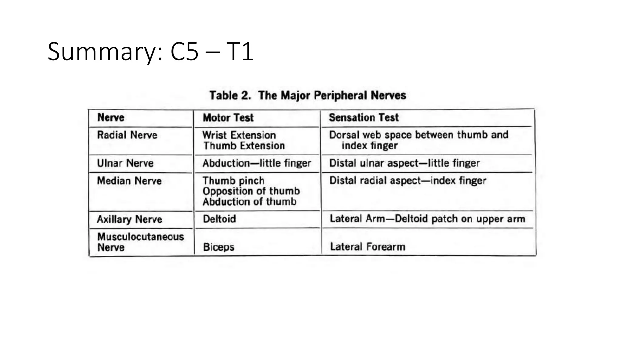 The Brachial Plexus.pptx