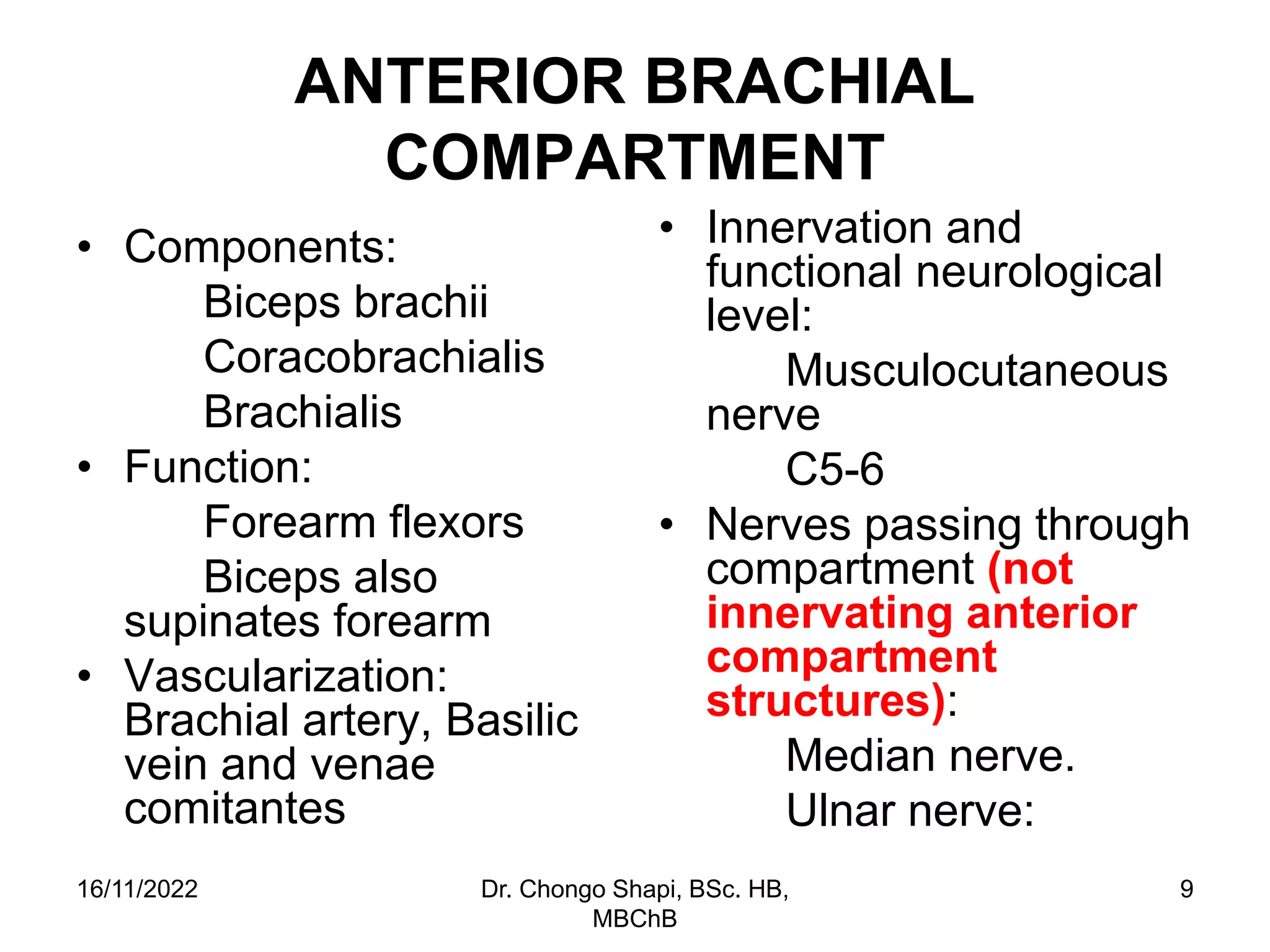 The Brachium by Shapi.pdf