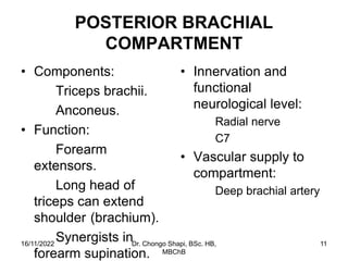The Brachium by Shapi.pdf