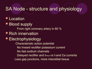 The Bradyarrhythmias need 40 characters in title.ppt