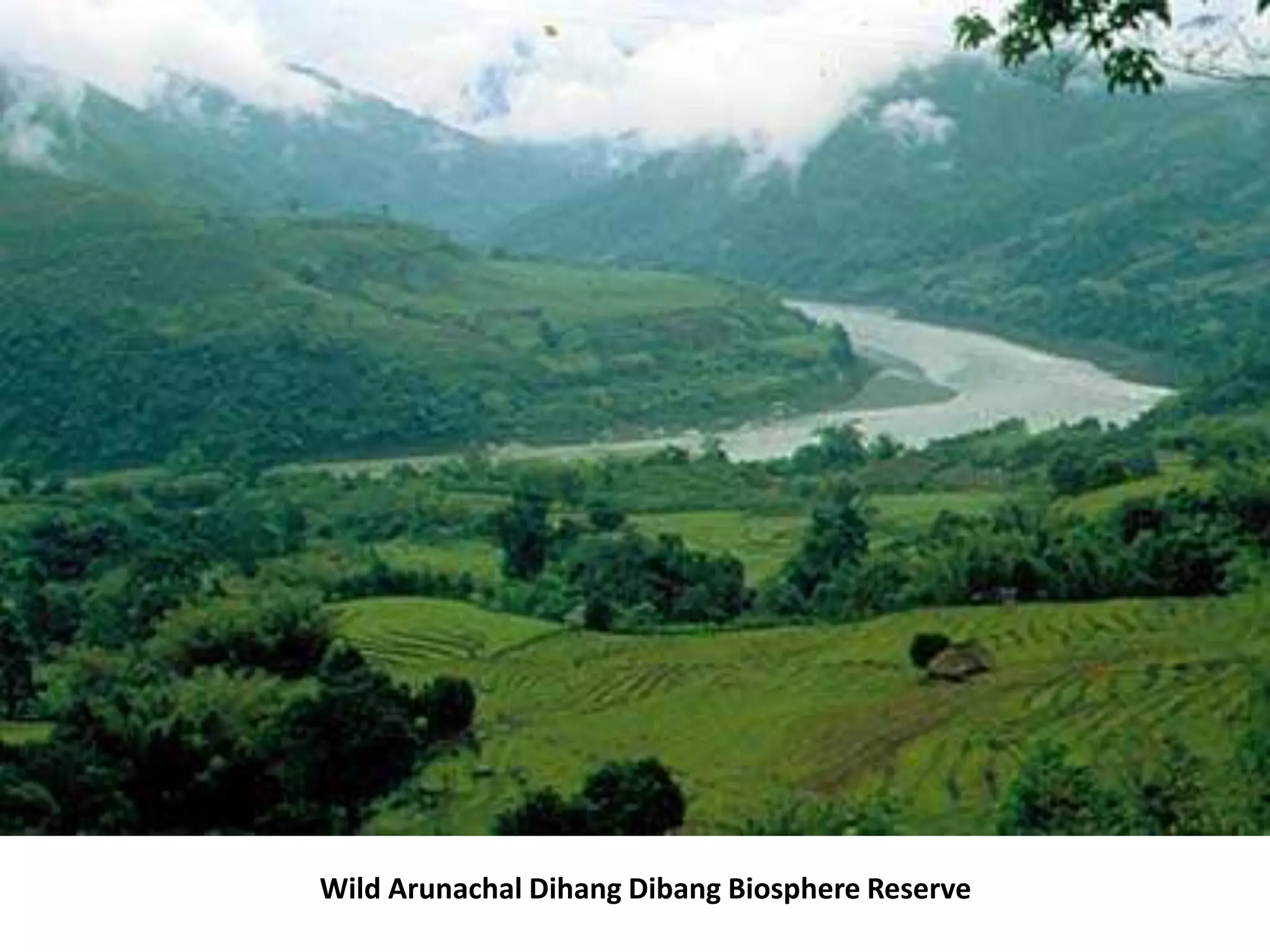 The brahmaputra river system | PPTX