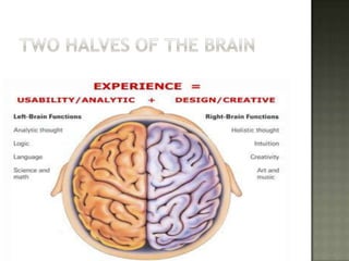 The brain | PPT