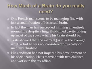 The Brain | PPTX