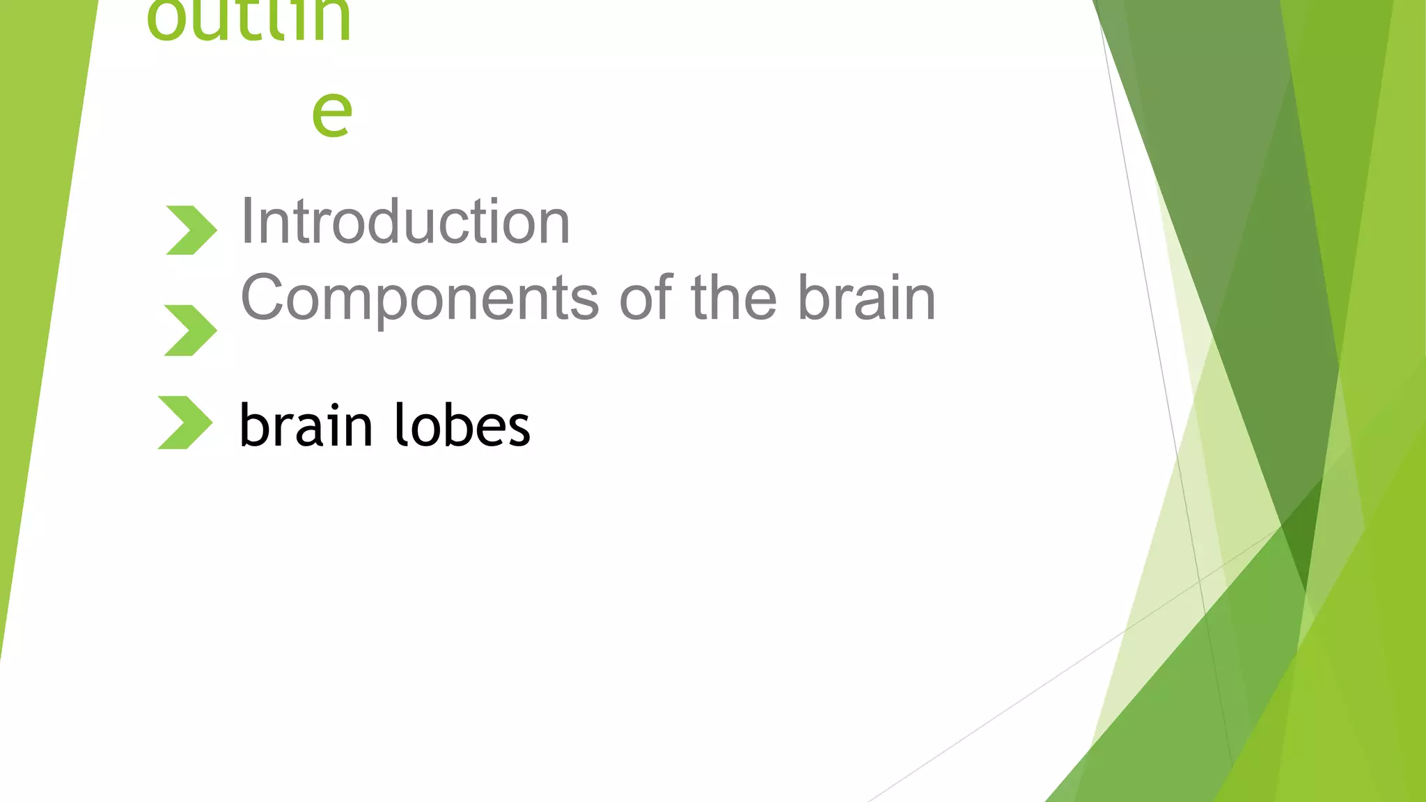 The brain | PPT