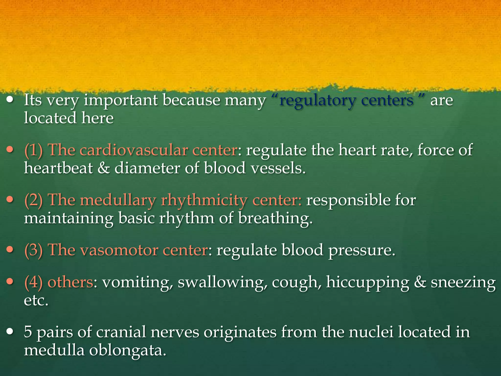 The human brain.pptx