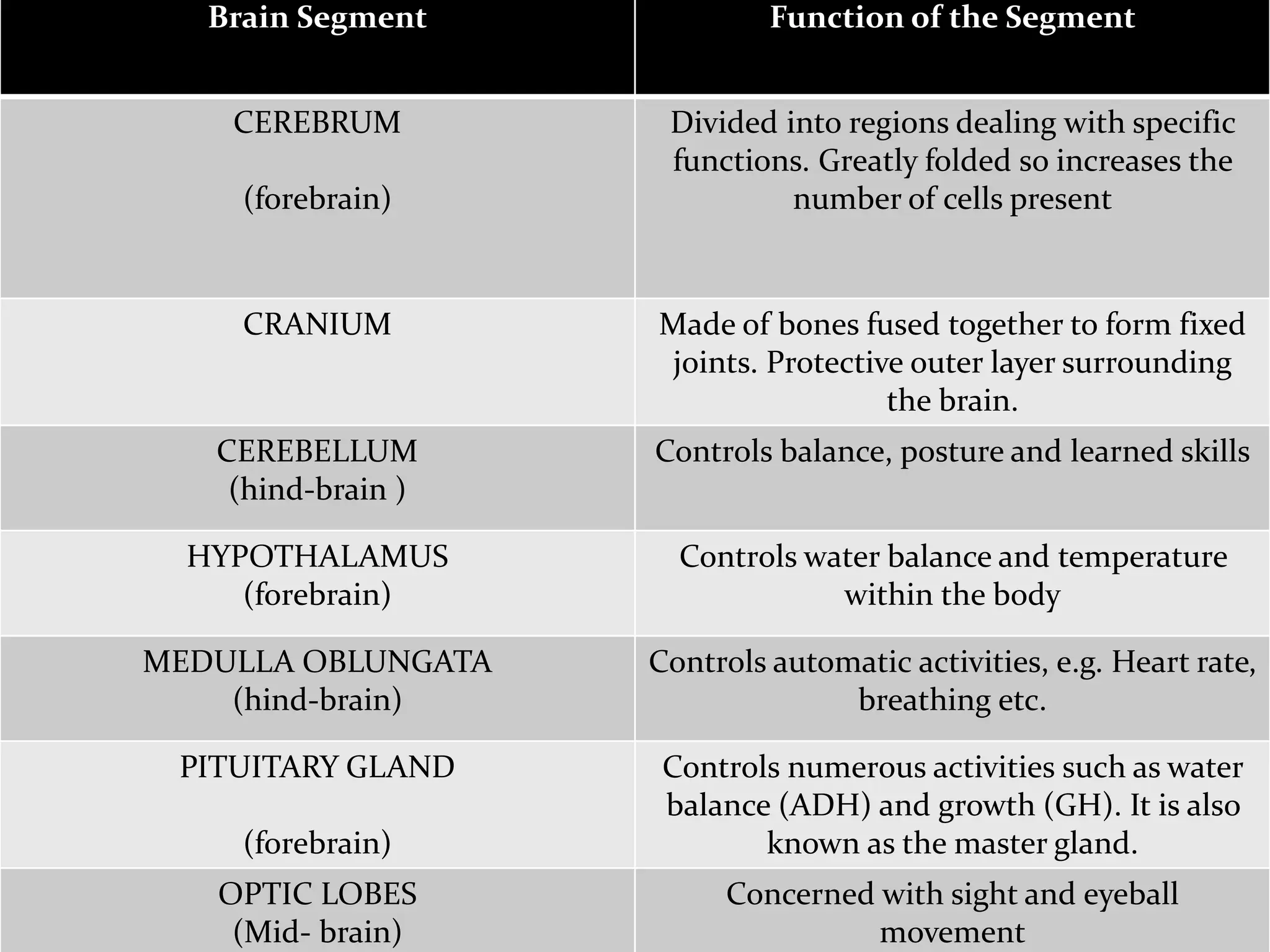the brain structure and function of the body.ppt | Free Download