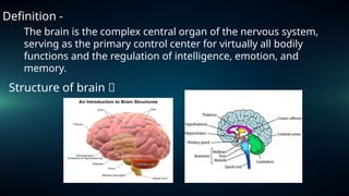 Comprehensive Overview of the Human Brain: Structure, Function, and ...