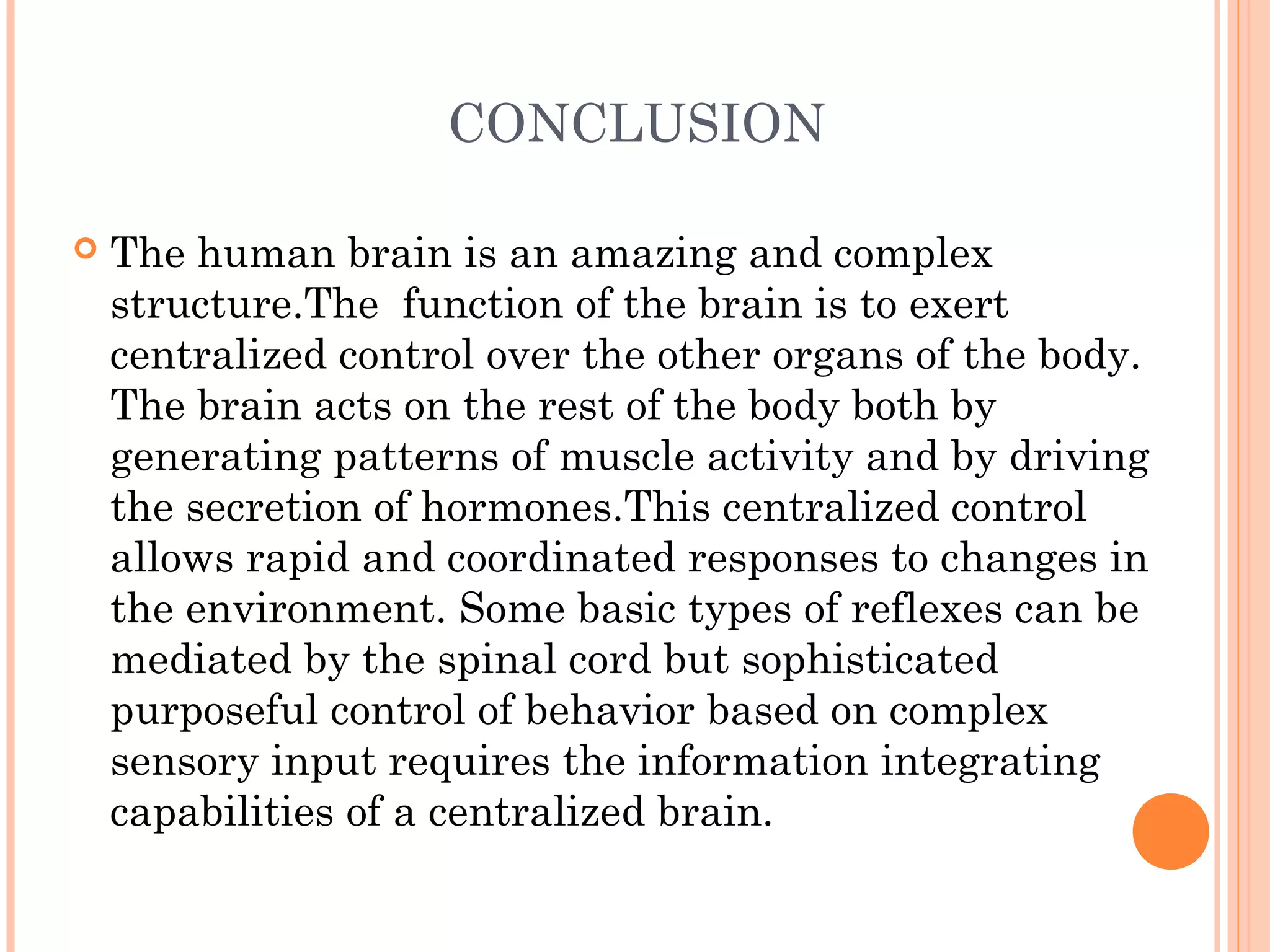 The brain a presentation | PPT