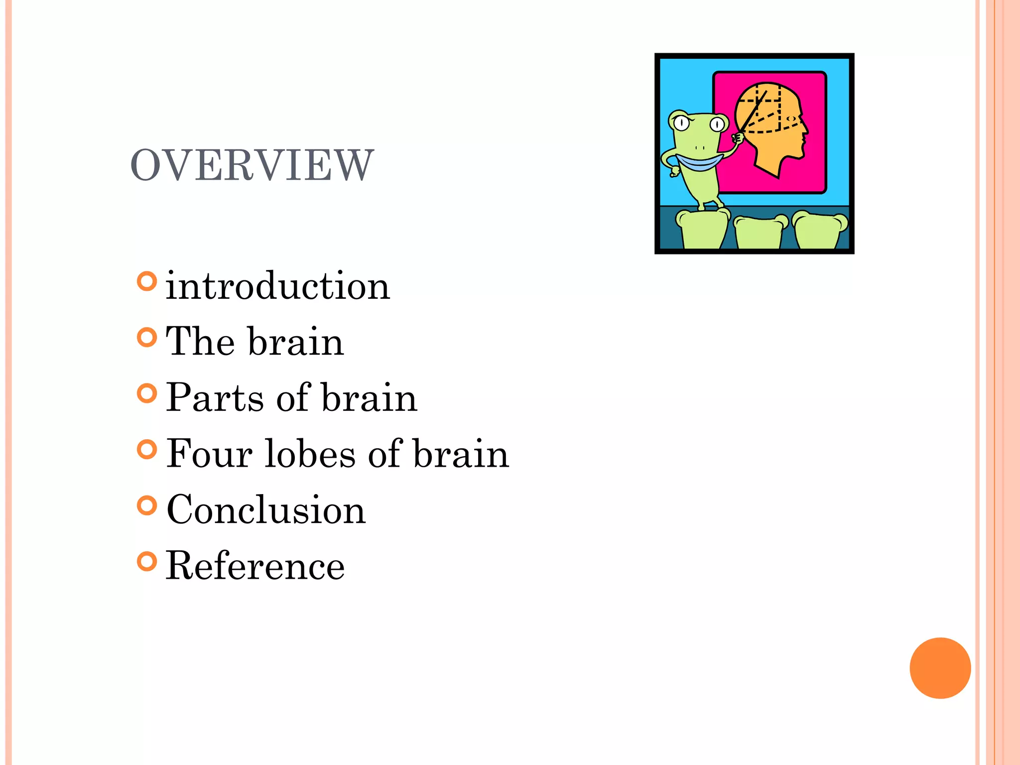The brain a presentation | PPT