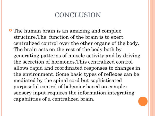 The brain a presentation | PPT