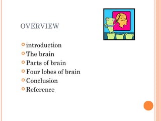 The brain a presentation | PPT