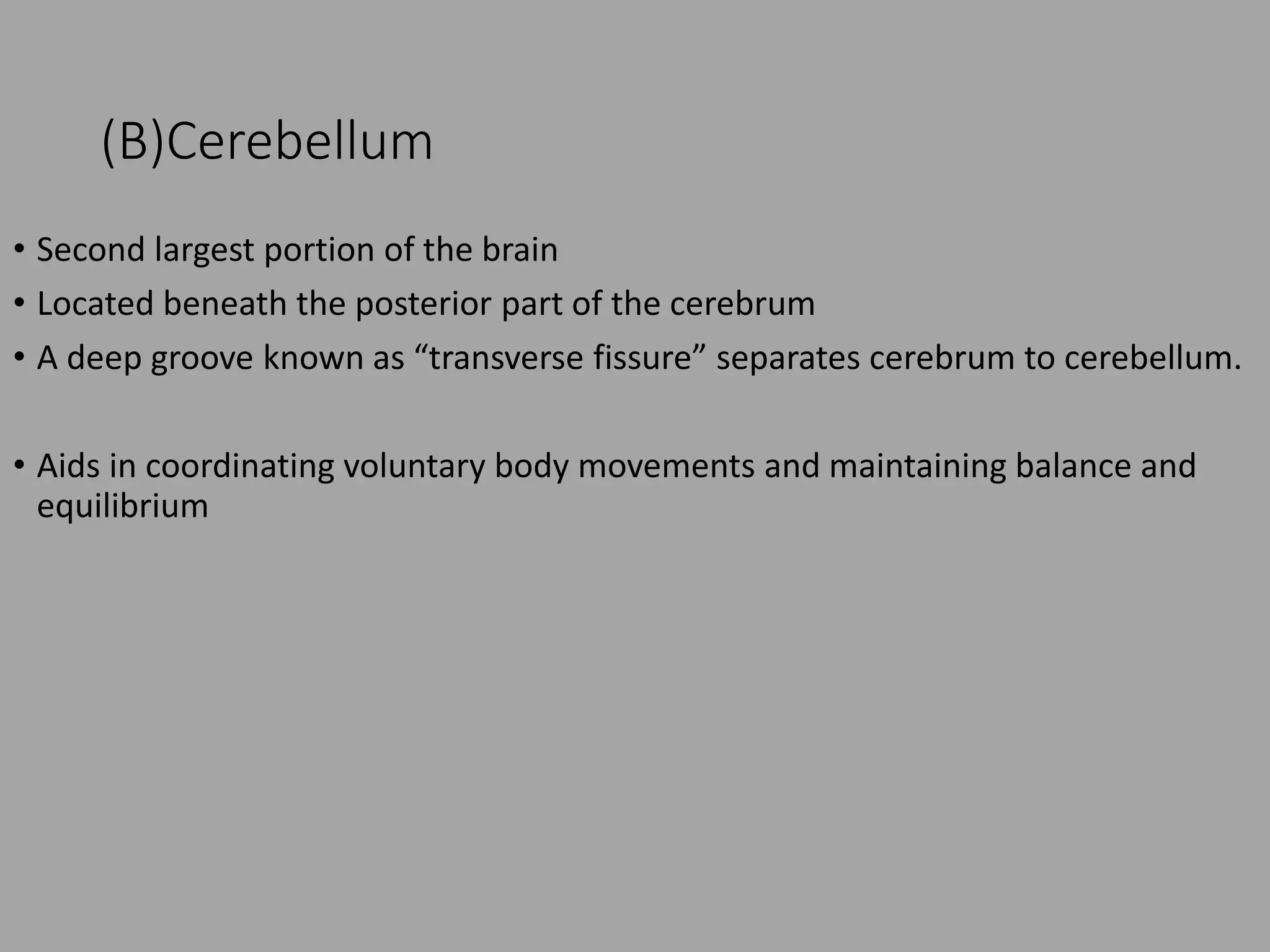 Anatomy and physiology of brain | PPTX