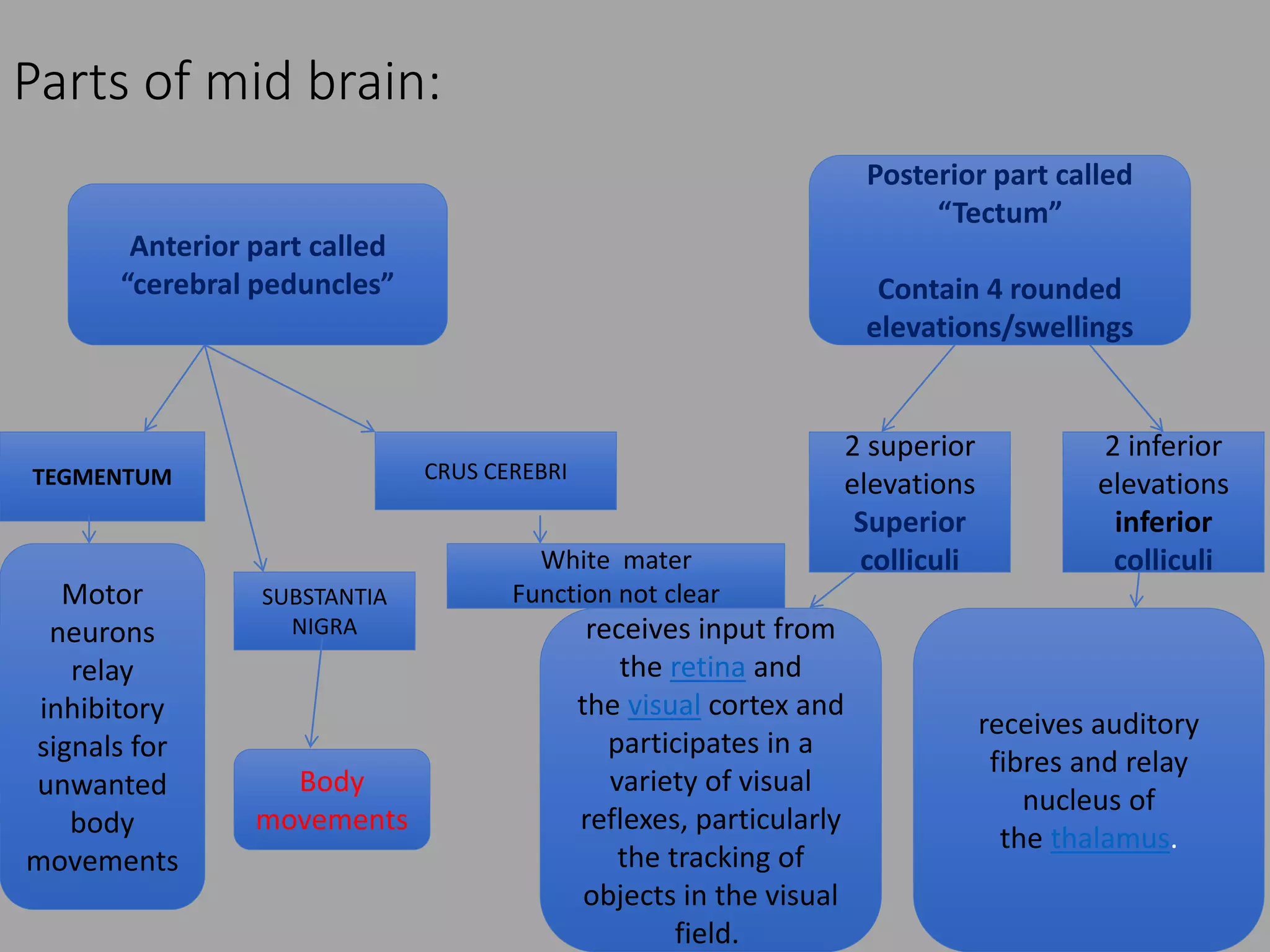 Anatomy and physiology of brain | PPTX