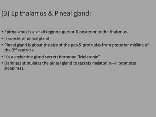 Anatomy and physiology of brain | PPTX