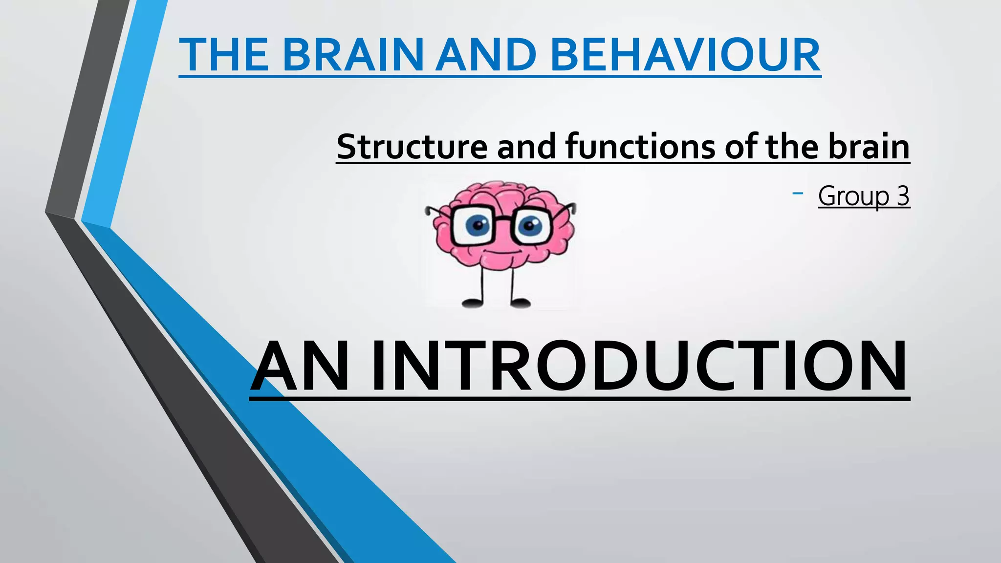The brain and behaviour | PPTX