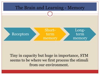 The brain and learning ppt 2012 | PPTX