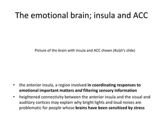 The brain and sensitivity | PPTX