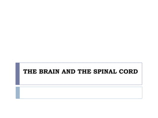 The brain and the spinal cord | PPT