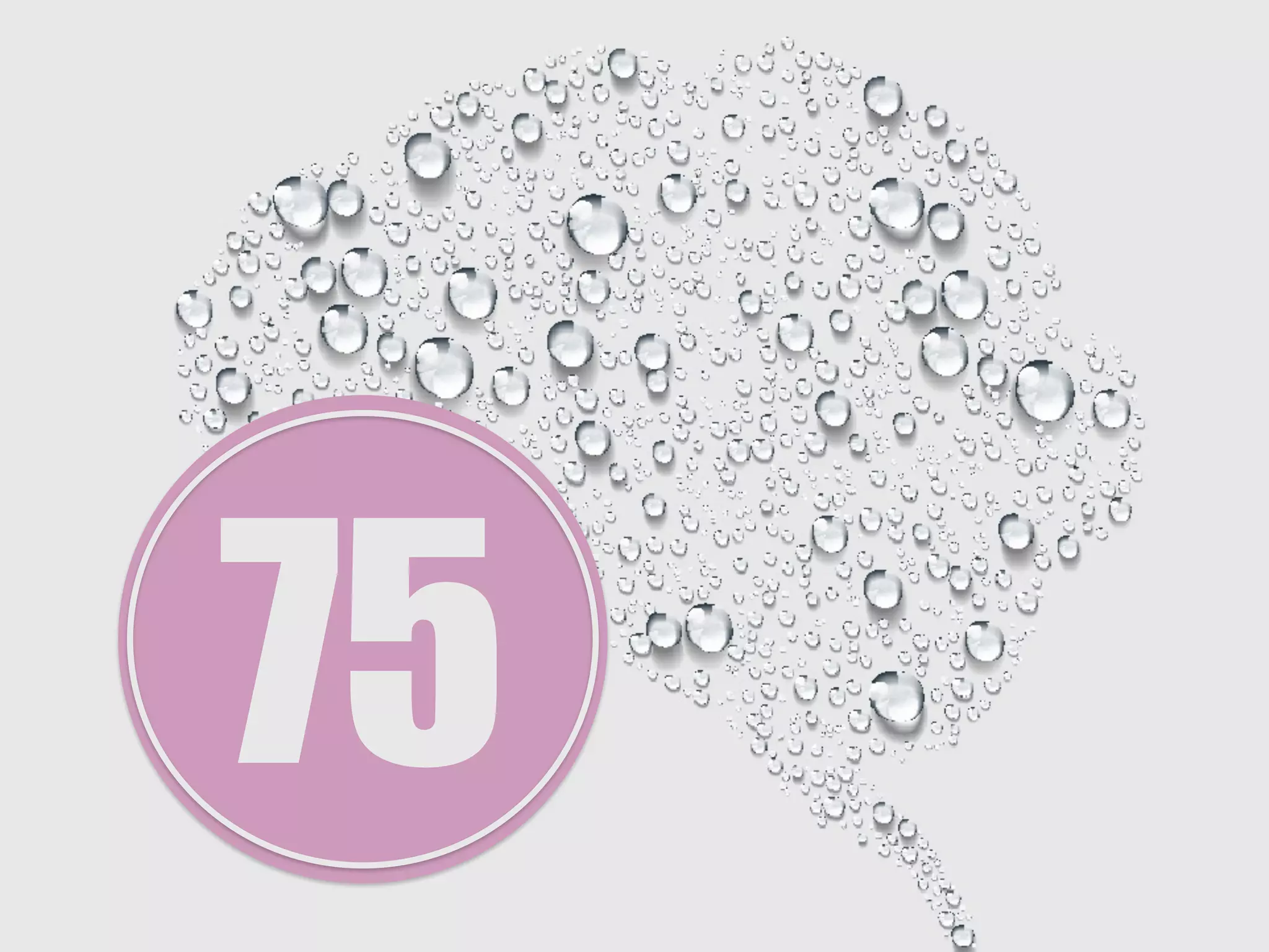 The brain by numbers | PPT