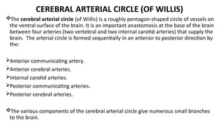 gross anatomy of The Brain (Dr Anani) ANA 311.pptx