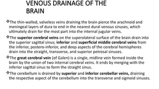 gross anatomy of The Brain (Dr Anani) ANA 311.pptx