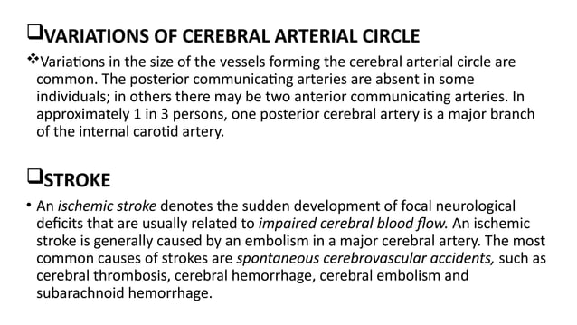 gross anatomy of The Brain (Dr Anani) ANA 311.pptx