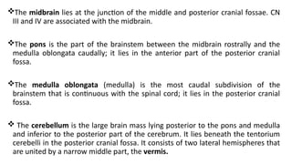 gross anatomy of The Brain (Dr Anani) ANA 311.pptx