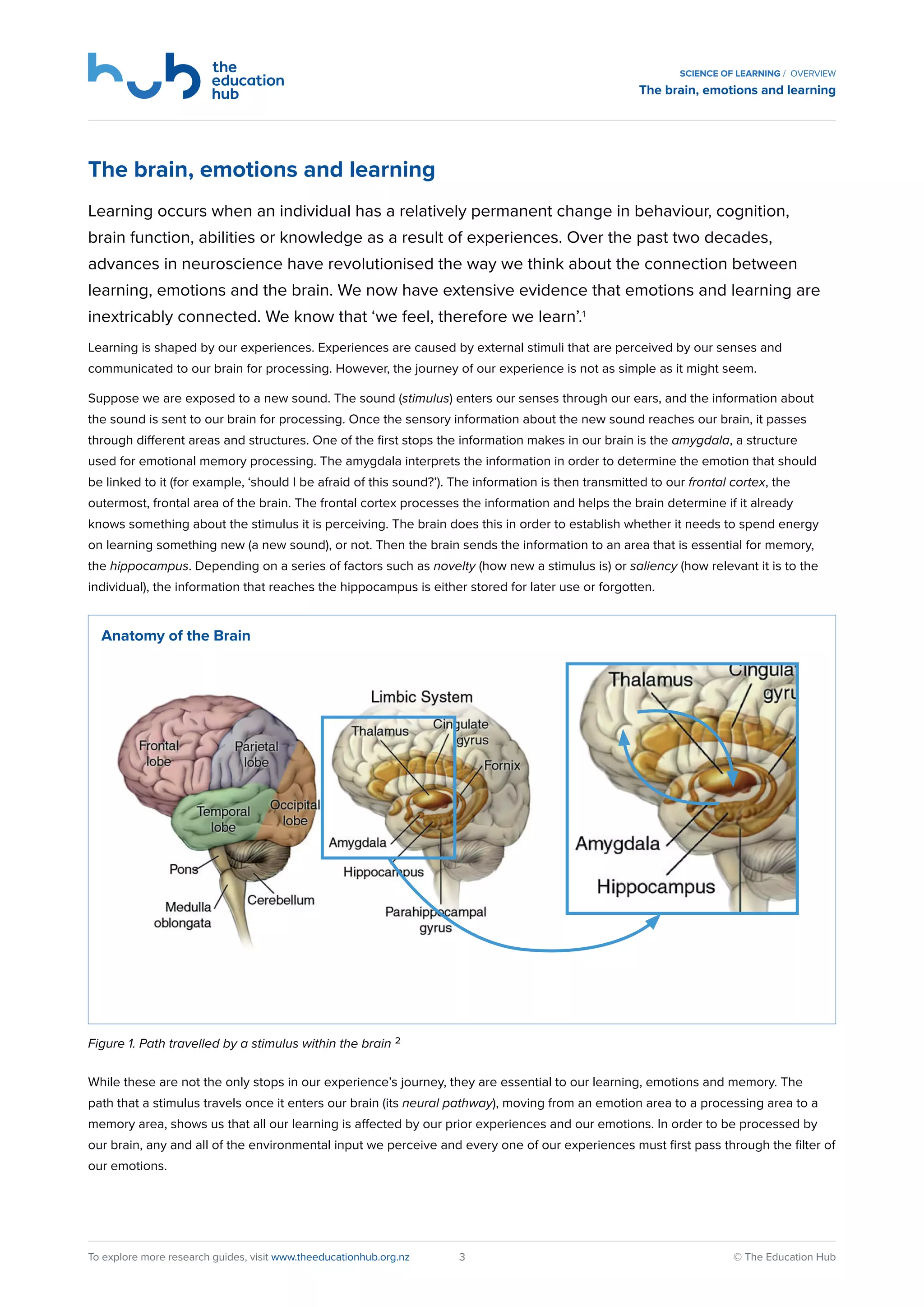 The brain, emotions and learning by Cynthia Borja, Ph.D. 2019 | PDF