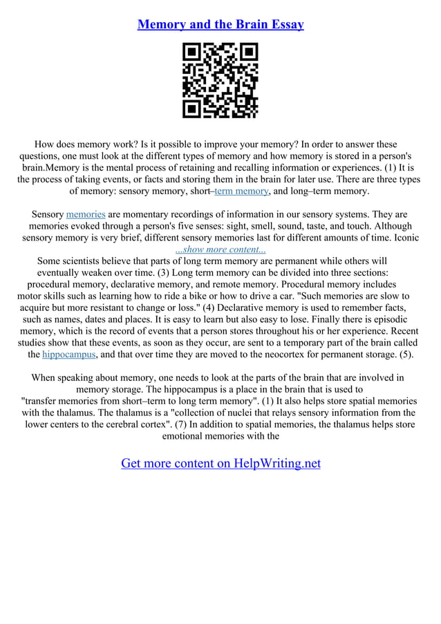 The Brain Essay | PDF