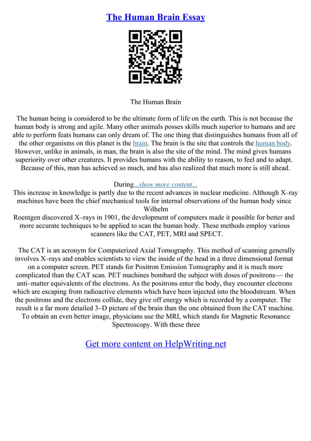 The Brain Essay | PDF