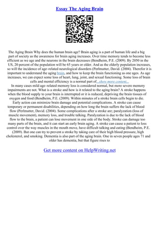 The Brain Essay | PDF