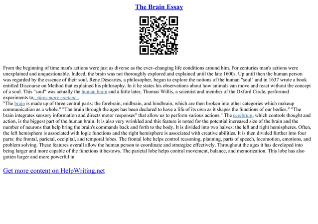 The Brain Essay | PPT