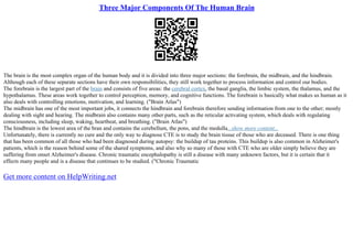 The Brain Essay | PDF | Brain and Nervous System Disorders | Diseases ...