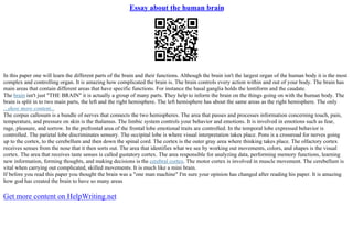 The Brain Essay | PDF | Brain and Nervous System Disorders | Diseases and Conditions