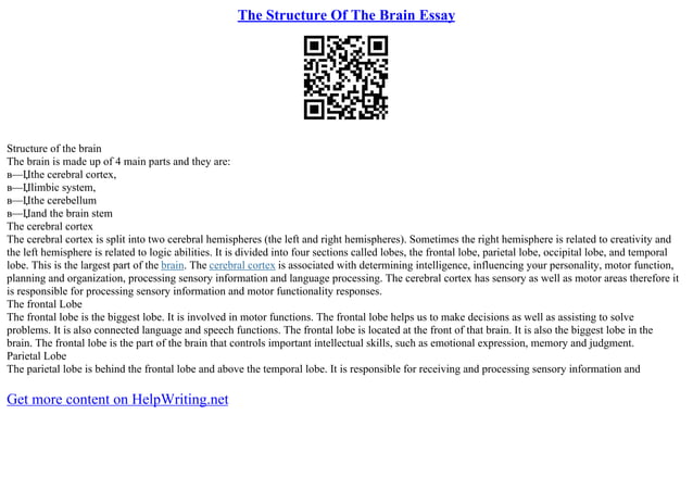 The Brain Essay | PPT