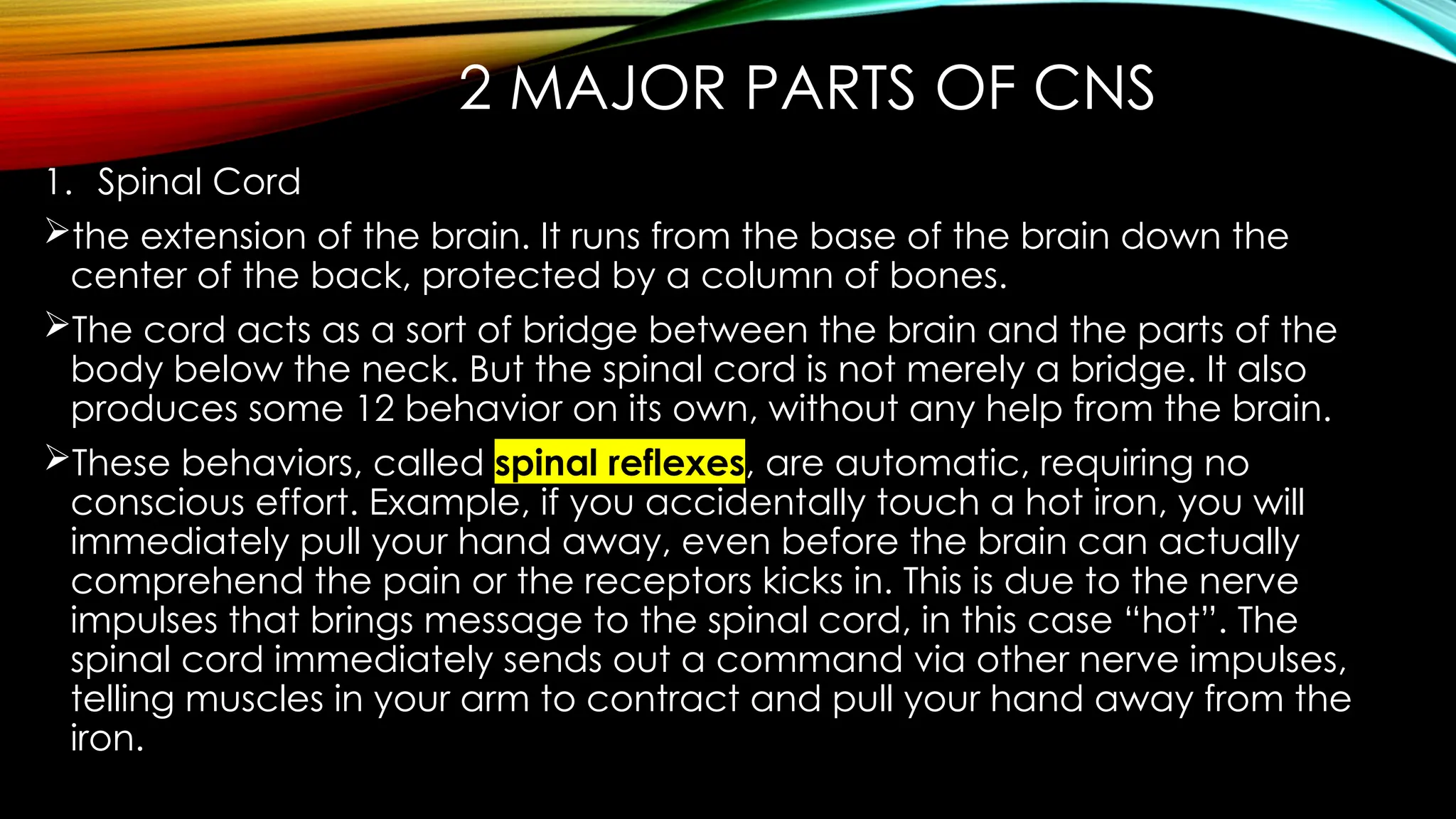 The Brain personality development week 5 | PPTX