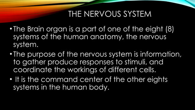 The Brain personality development week 5 | PPTX