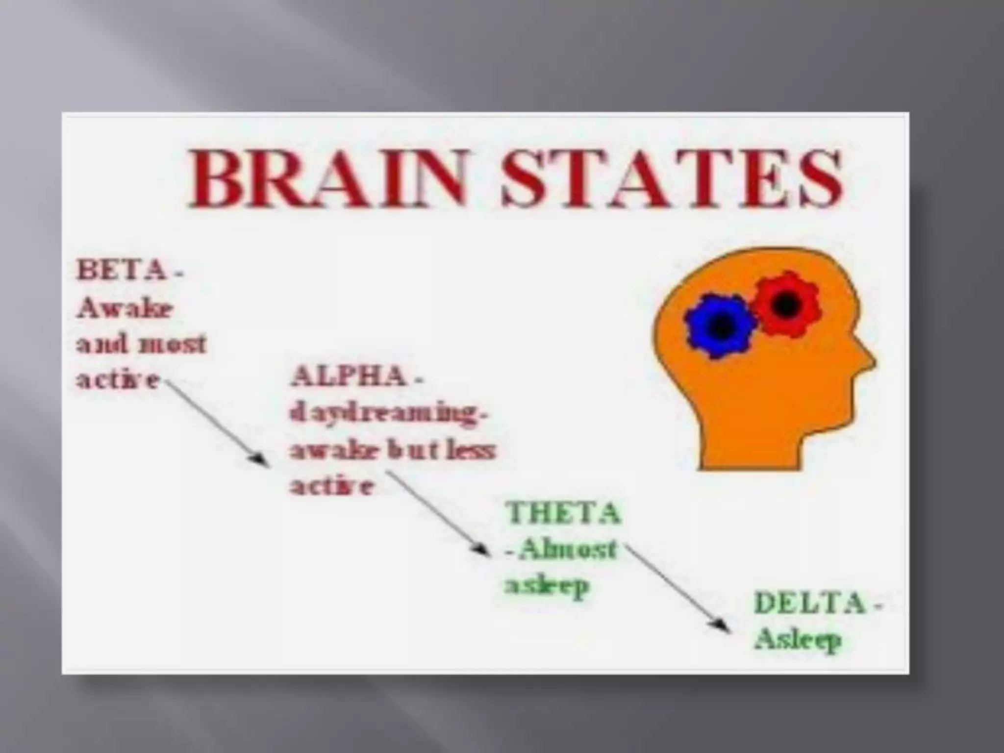 The brain states and waves | PPTX