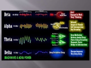 The brain states and waves | PPTX