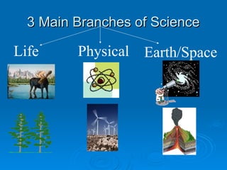 The Different Branches of Science -Grade 8 | PPT