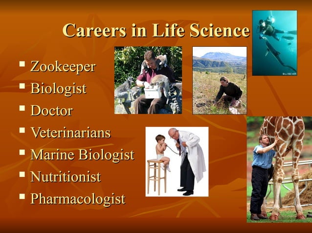 The Different Branches of Science -Grade 8 | PPT | Postgraduate ...