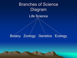 the_branches_of_science_ppt.ppt
