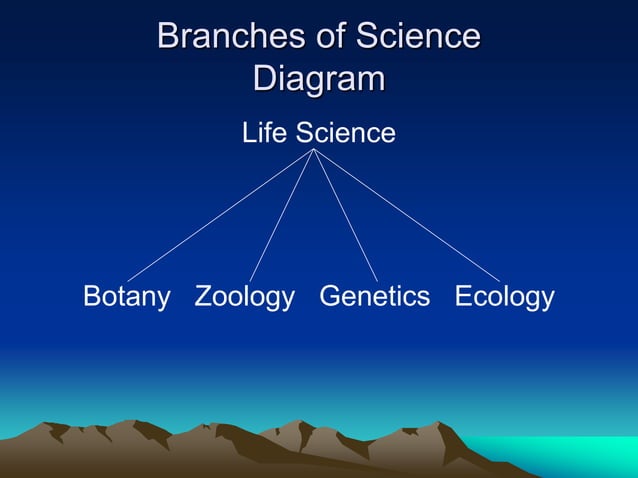 the_branches_of_science_ppt.ppt
