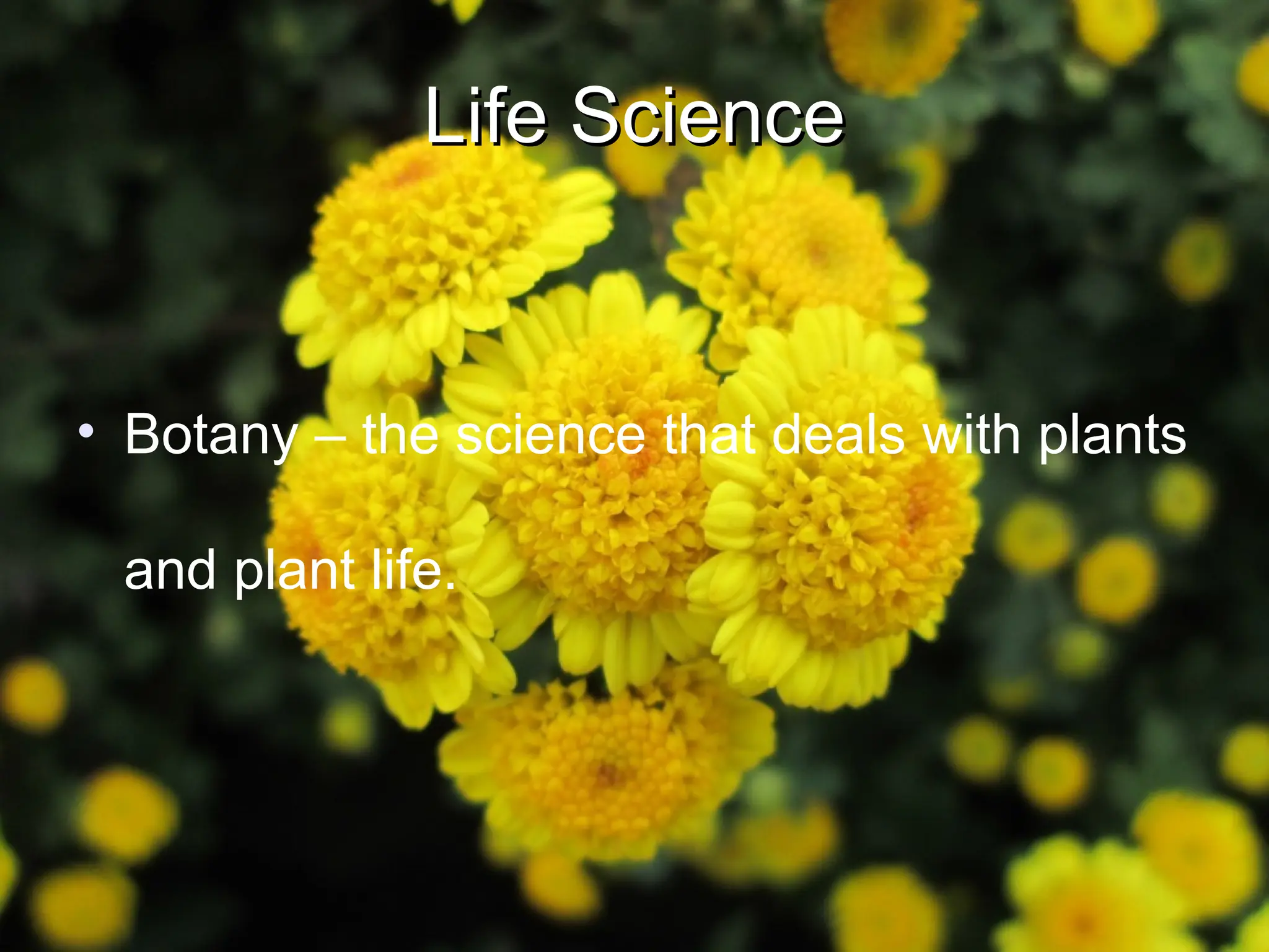 the_branches_of_science AND ITS IMPORTANCE_ppt.ppt
