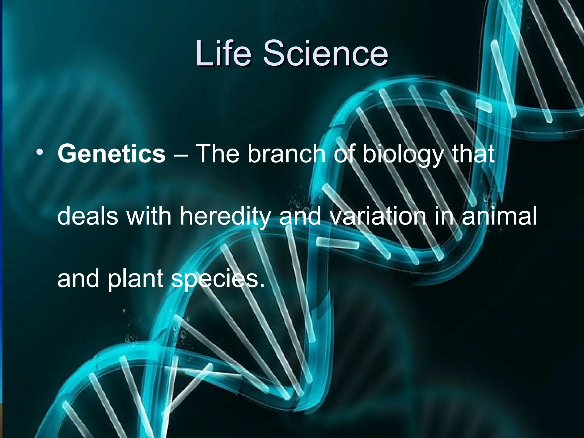 the_branches_of_science AND ITS IMPORTANCE_ppt.ppt