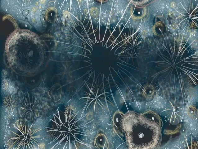 the_branches_of_science AND ITS IMPORTANCE_ppt.ppt